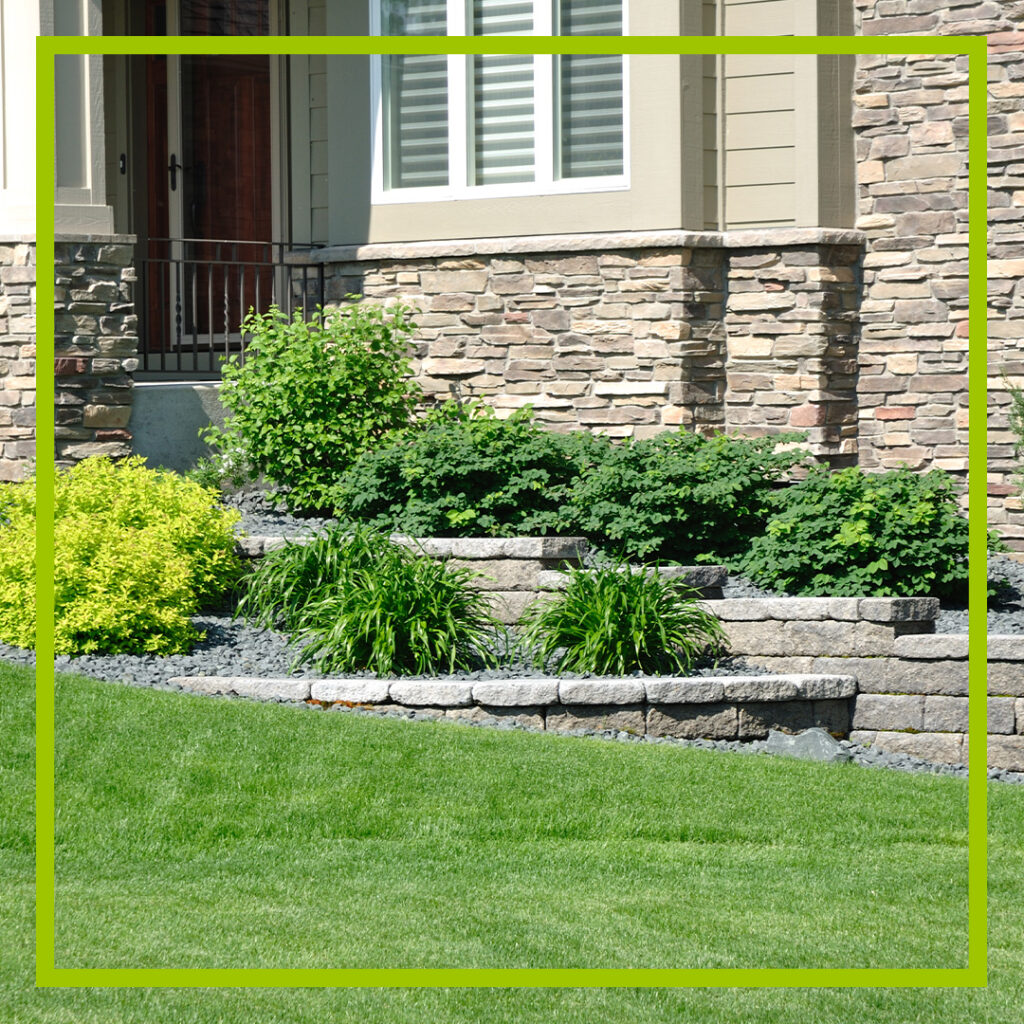 What You Should Know About Home Pest Control - Noble Way Pest Control