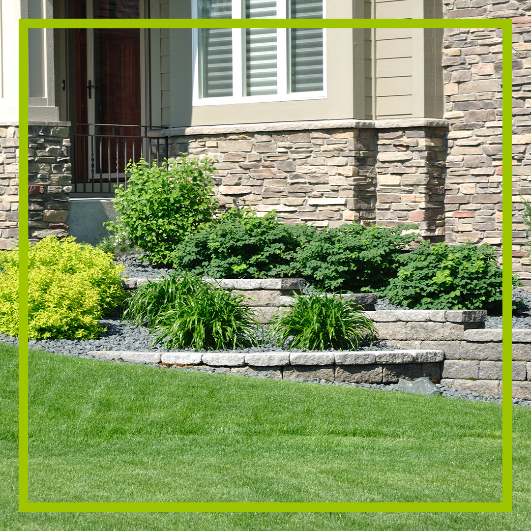 What You Should Know About Home Pest Control - Noble Way Pest Control